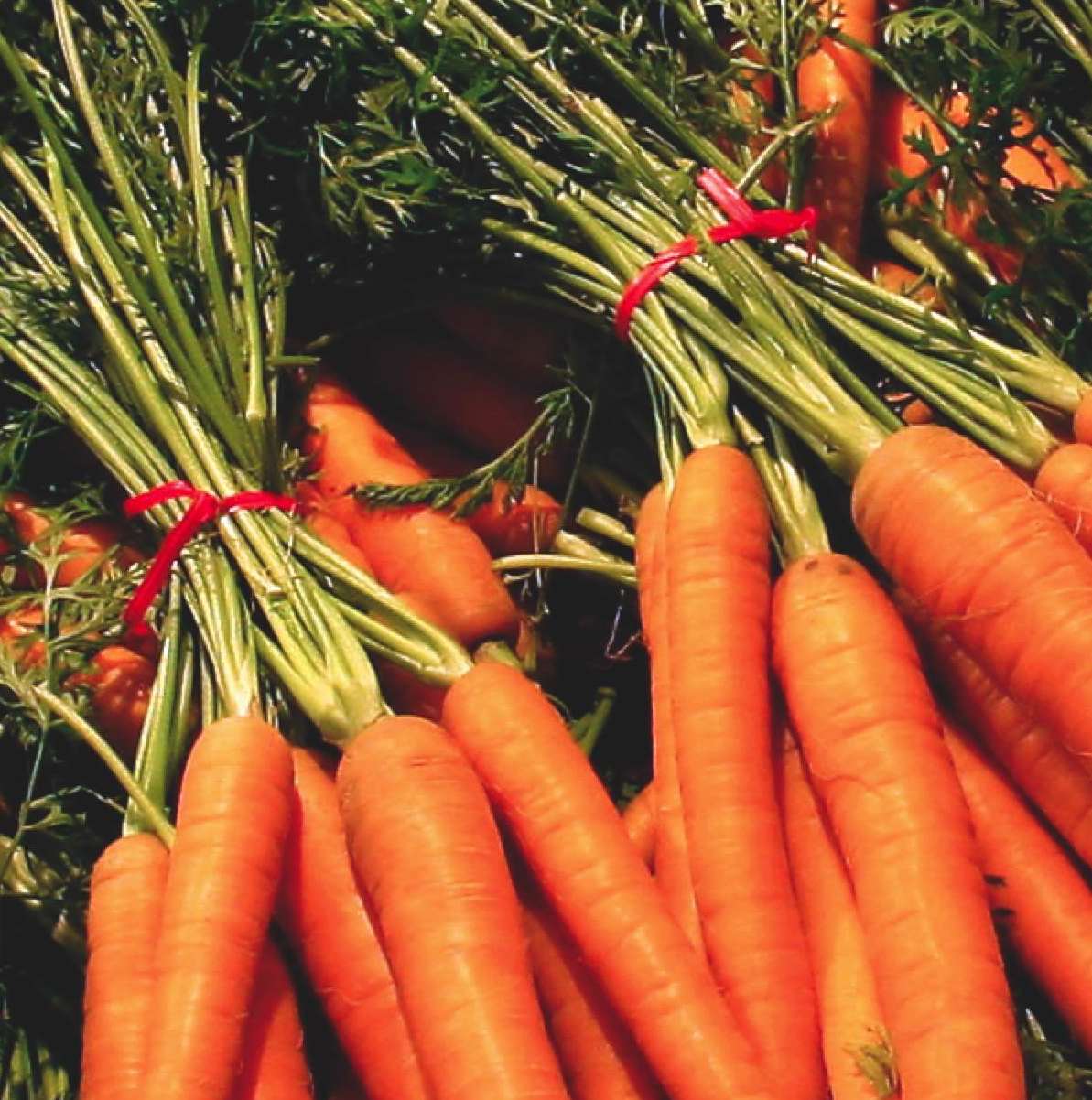 USA: Biowachstum schreitet logisch voran: Mit frischem Obst und Gemüse ...